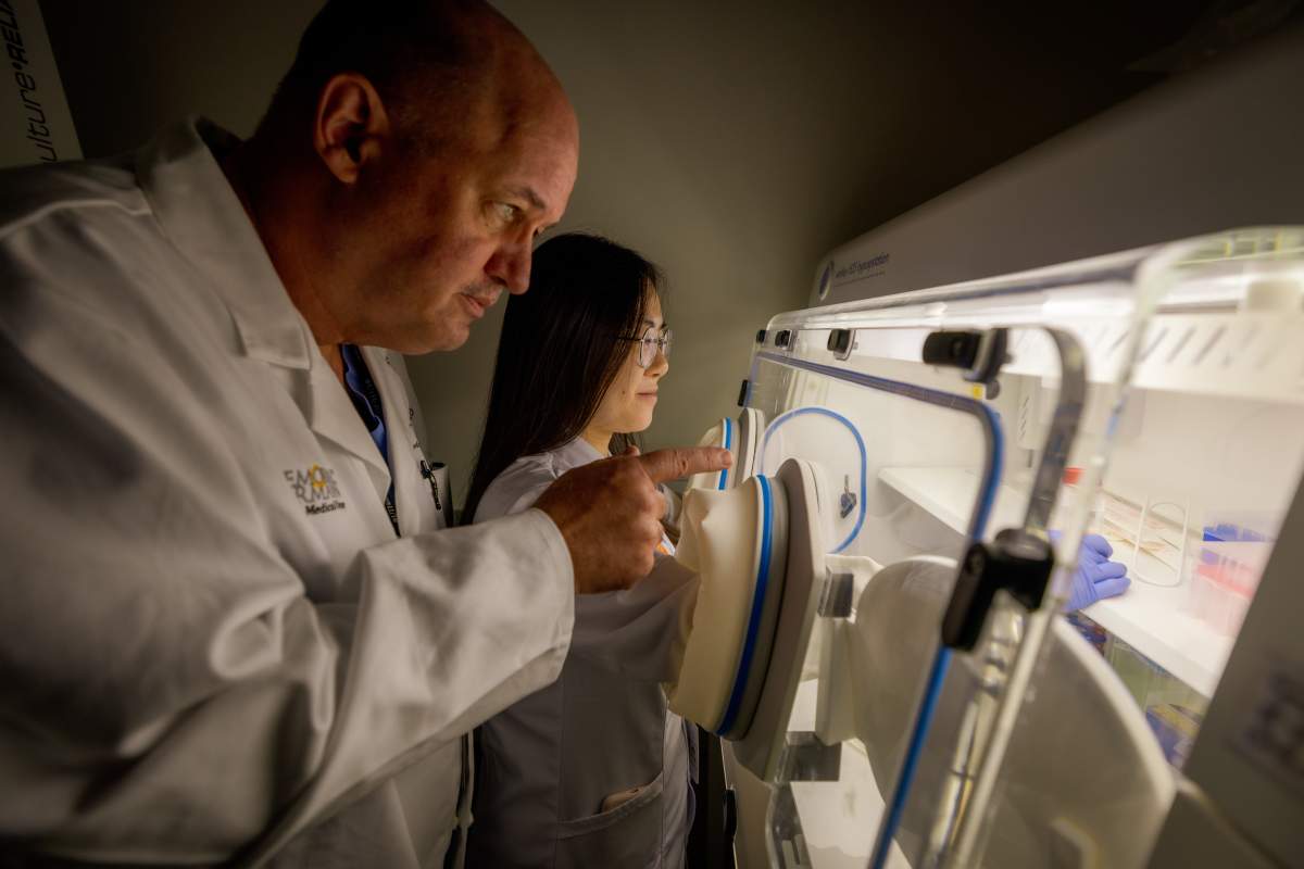 UTHealth Houston researchers awarded $2.6M NIH grant to study molecular ...